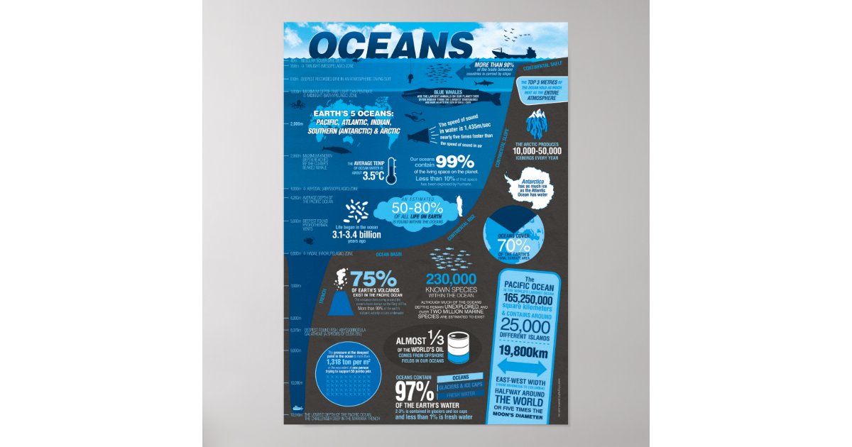 Oceans Infographic Poster | Zazzle