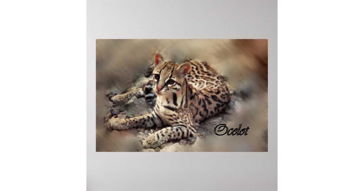 Ocelot art poster | Zazzle