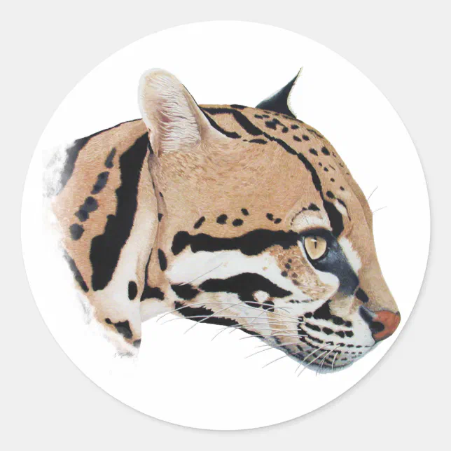 Ocelot Portrait Classic Round Sticker | Zazzle