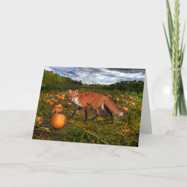 "October Fox" Greeting Card | Zazzle