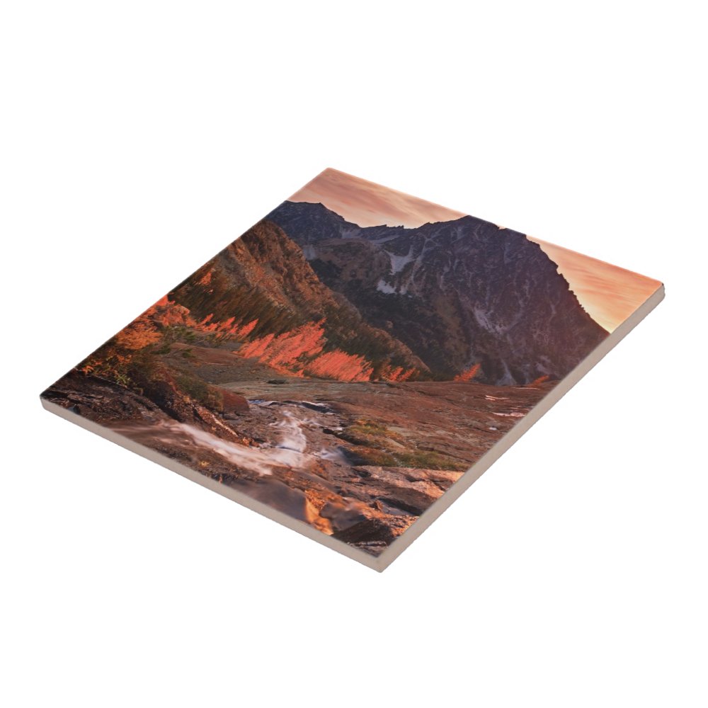 October Light on Headlight Basin Ceramic Photos Tile One size (6'' × 8 ...
