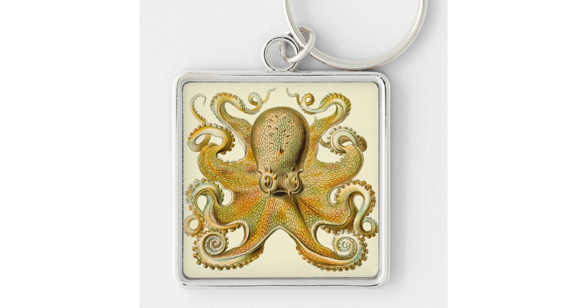 Octopus antique illustration sea monster keychain | Zazzle