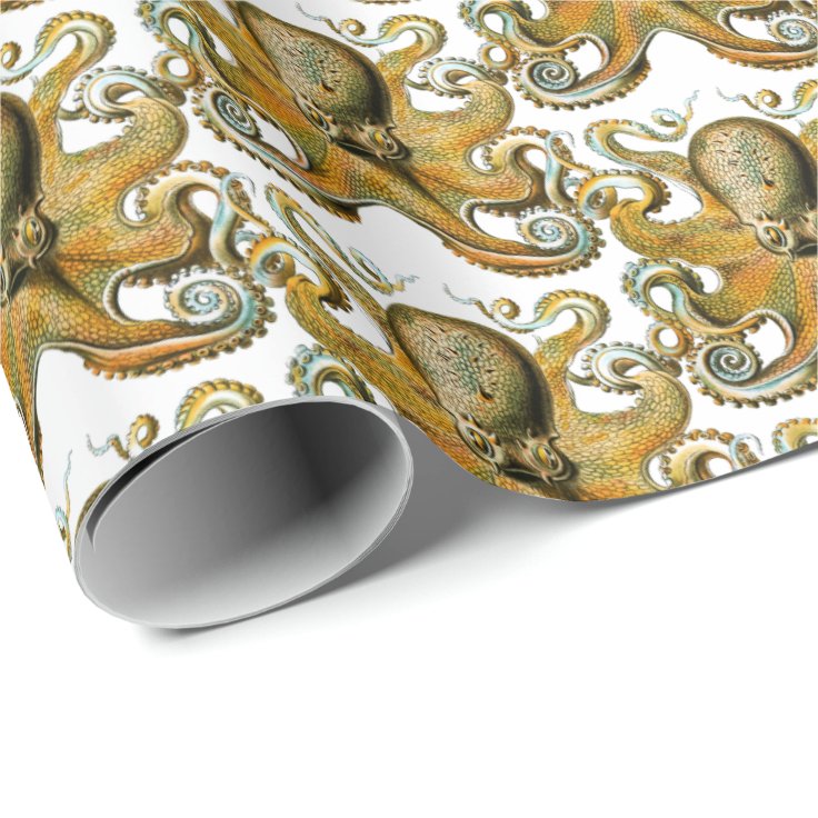 Octopus Drawing Vintage Tentacles Wrapping Paper | Zazzle
