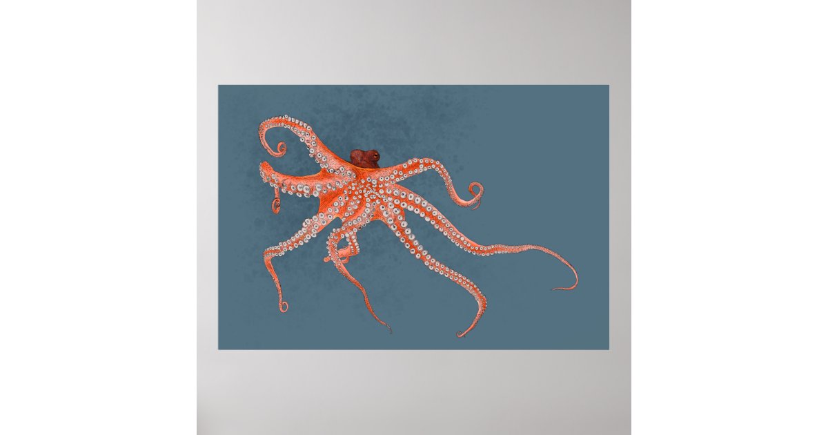 Octopus Hugs Poster | Zazzle