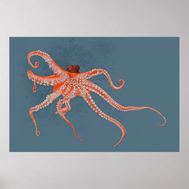 Octopus Hugs Poster | Zazzle