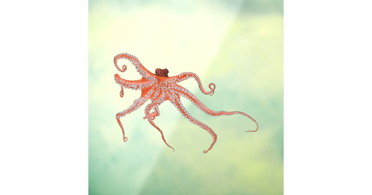 Octopus Hugs Window Cling | Zazzle