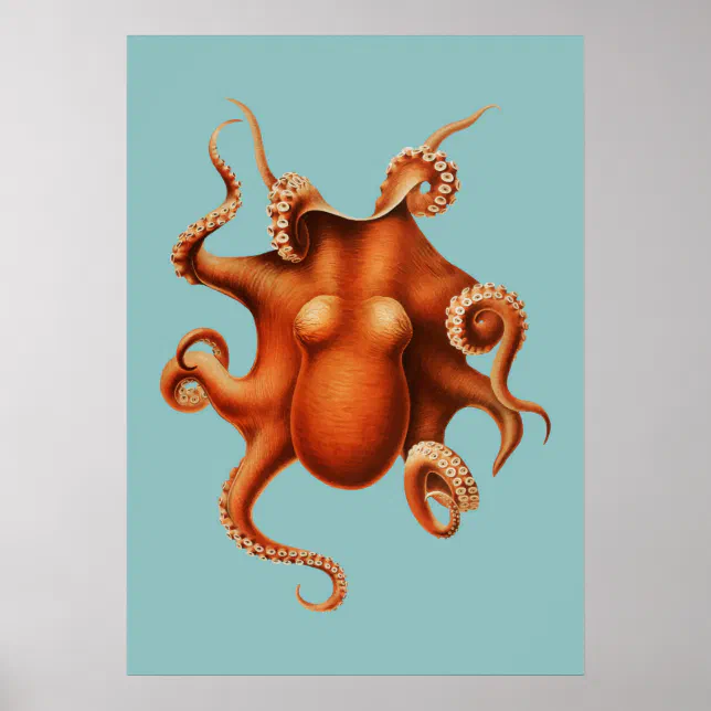 Octopus Illustration Poster | Zazzle