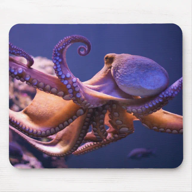 Octopus Mousepad | Zazzle