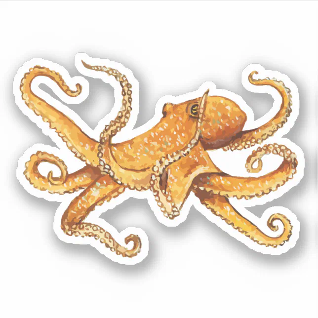 Octopus Nautical Design Sticker | Zazzle