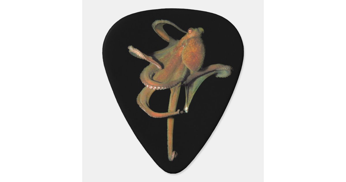 Octopus Standard Guitar Pick | Zazzle