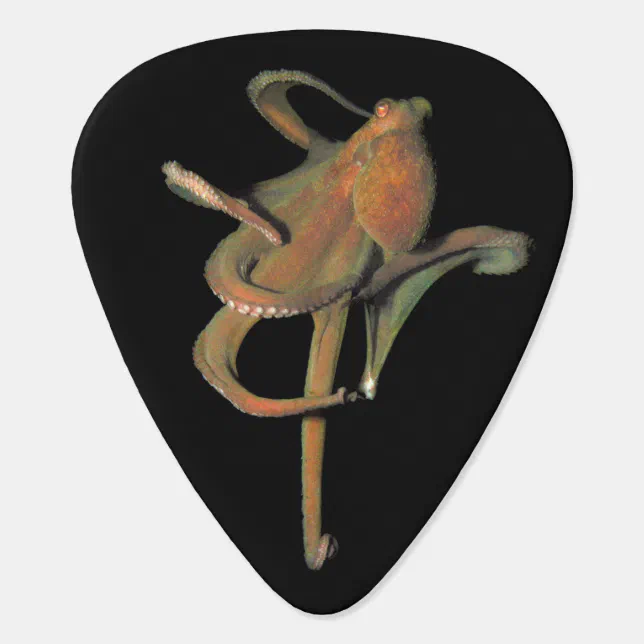 Octopus Standard Guitar Pick | Zazzle