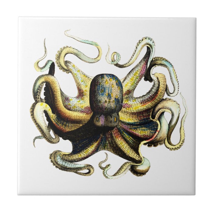 Octopus Tile | Zazzle.com