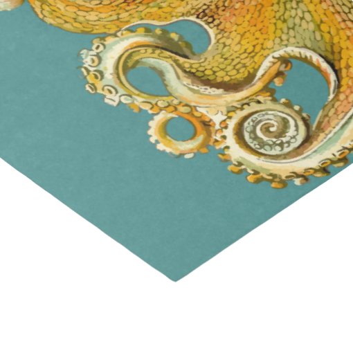 octopus tissue paper | Zazzle