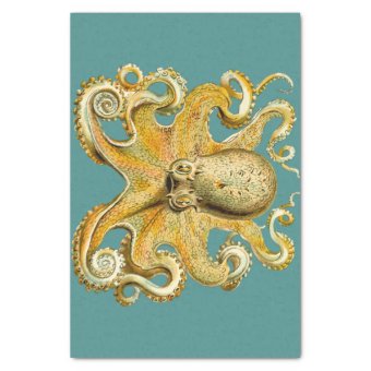 octopus tissue paper | Zazzle