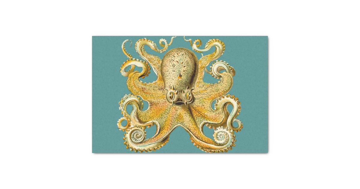 octopus tissue paper | Zazzle