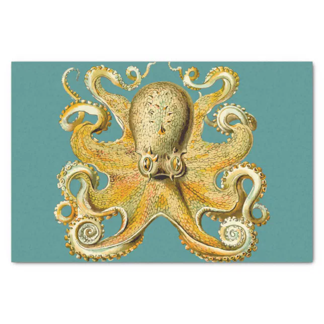 octopus tissue paper | Zazzle