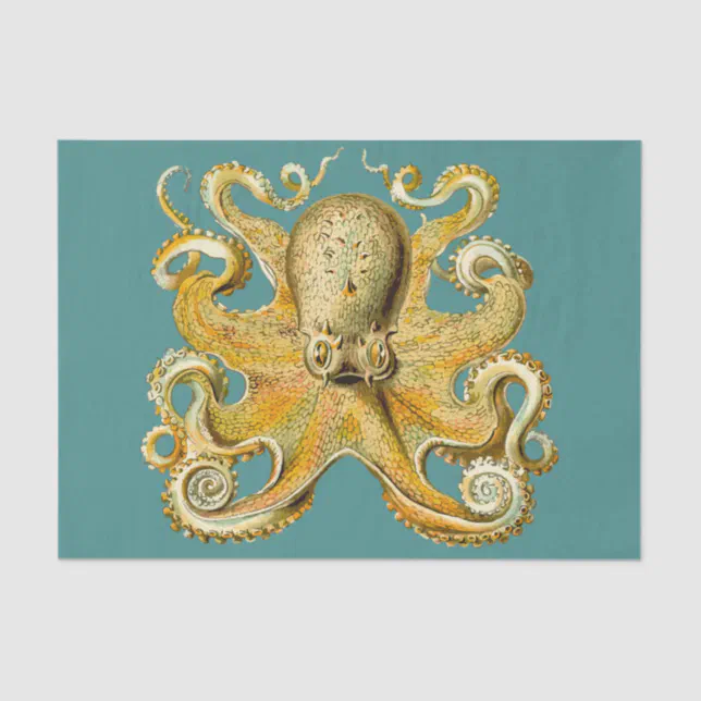 octopus tissue paper | Zazzle