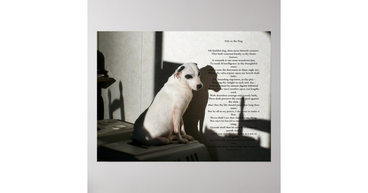 Ode To The Dog Poster | Zazzle