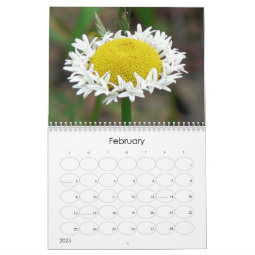 Oh Daisy Wall Calendar | Zazzle