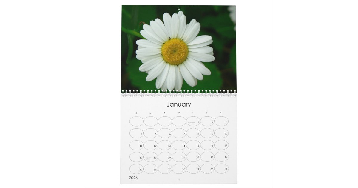 Oh Daisy Wall Calendar | Zazzle