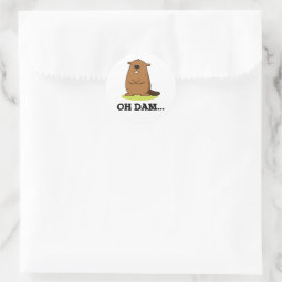 Oh Dam Funny Beaver Pun Classic Round Sticker | Zazzle