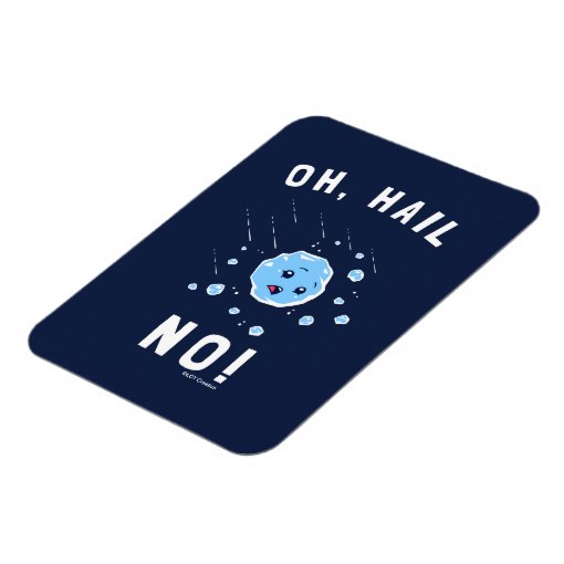 Oh Hail No Magnet | Zazzle