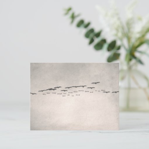 "oh, how they trust " postcard | Zazzle