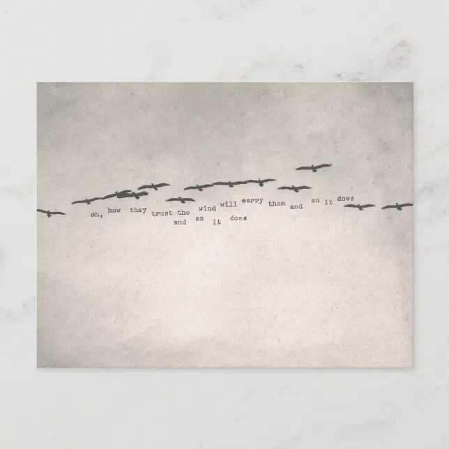 "oh, how they trust " postcard | Zazzle