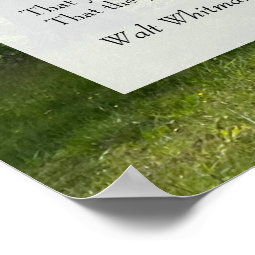 Oh Me! Oh Life! Walt Whitman Poem, Tree & Blue Sky Poster | Zazzle