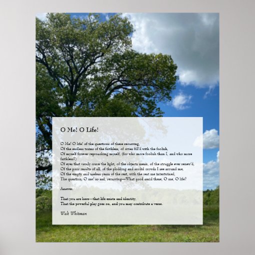 Oh Me! Oh Life! Walt Whitman Poem, Tree & Blue Sky Poster | Zazzle