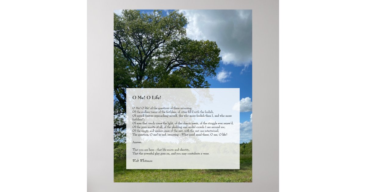 Oh Me! Oh Life! Walt Whitman Poem, Tree & Blue Sky Poster | Zazzle