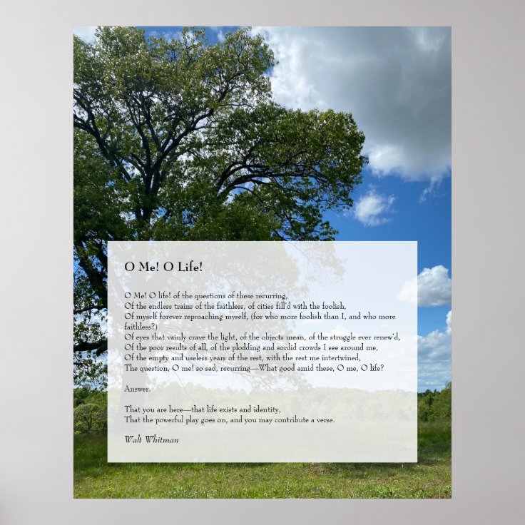 Oh Me! Oh Life! Walt Whitman Poem, Tree & Blue Sky Poster | Zazzle