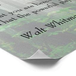 Oh Me! Oh Life! Walt Whitman Poem Wooded Path 1 Poster | Zazzle