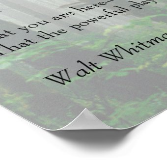Oh Me! Oh Life! Walt Whitman Poem Wooded Path 1 Poster | Zazzle