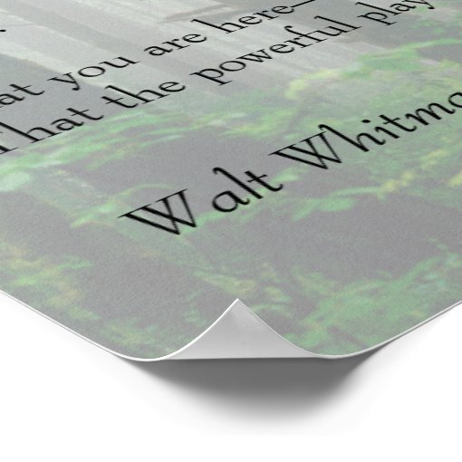 Oh Me! Oh Life! Walt Whitman Poem Wooded Path 1 Poster | Zazzle