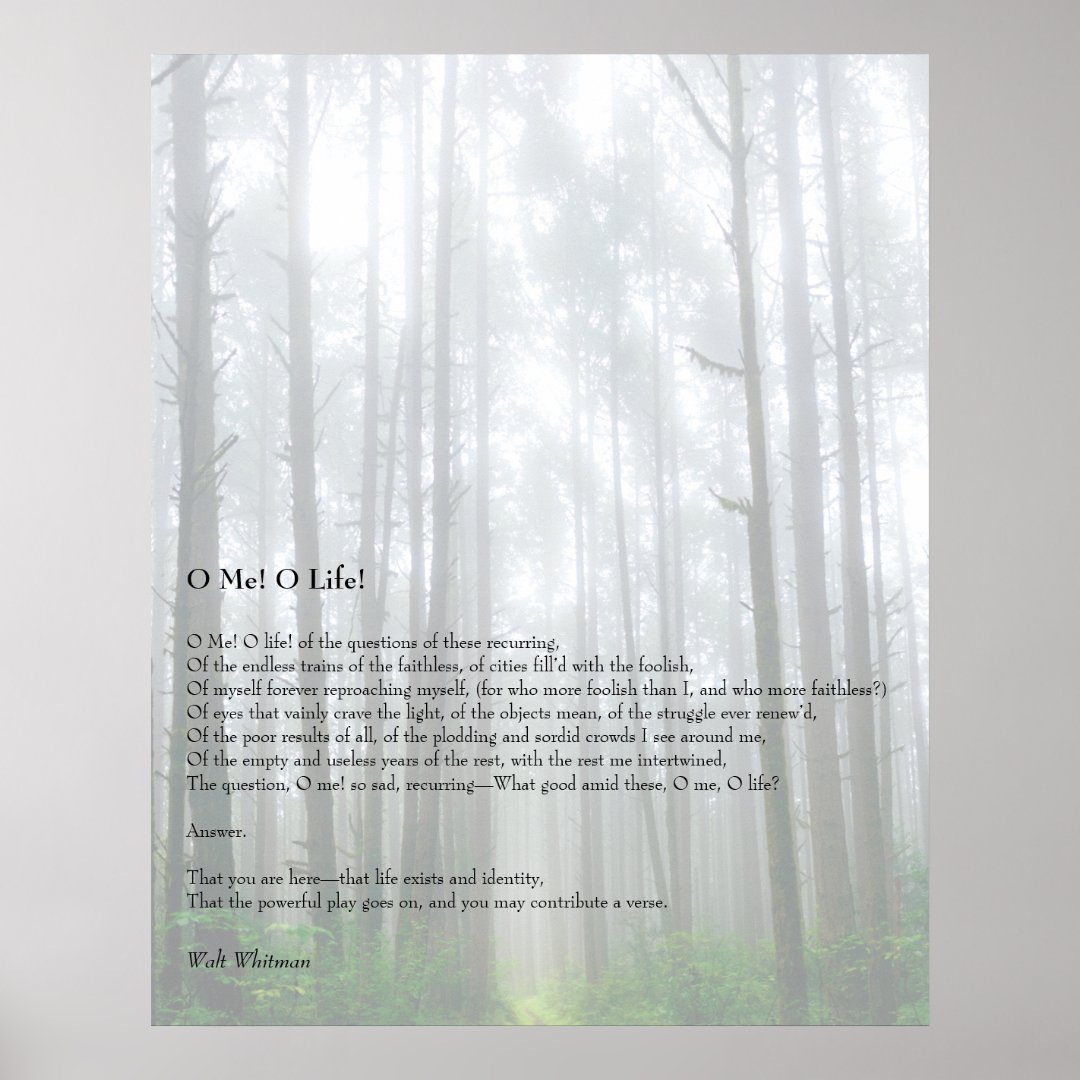Oh Me! Oh Life! Walt Whitman Poem Wooded Path 1 Poster | Zazzle