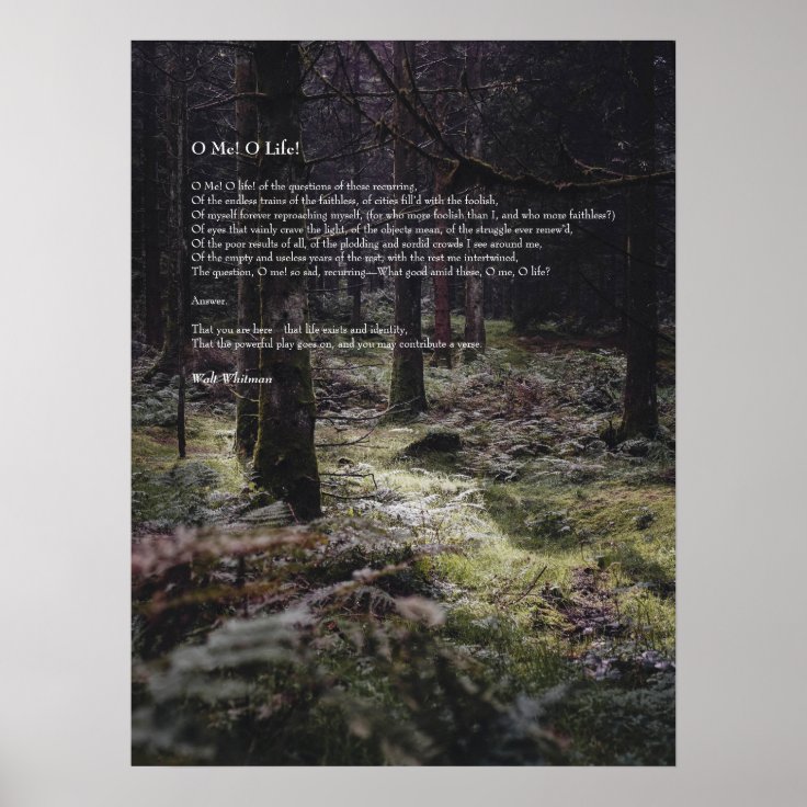 Oh Me! Oh Life! Walt Whitman Poem Wooded Path 3 Poster | Zazzle