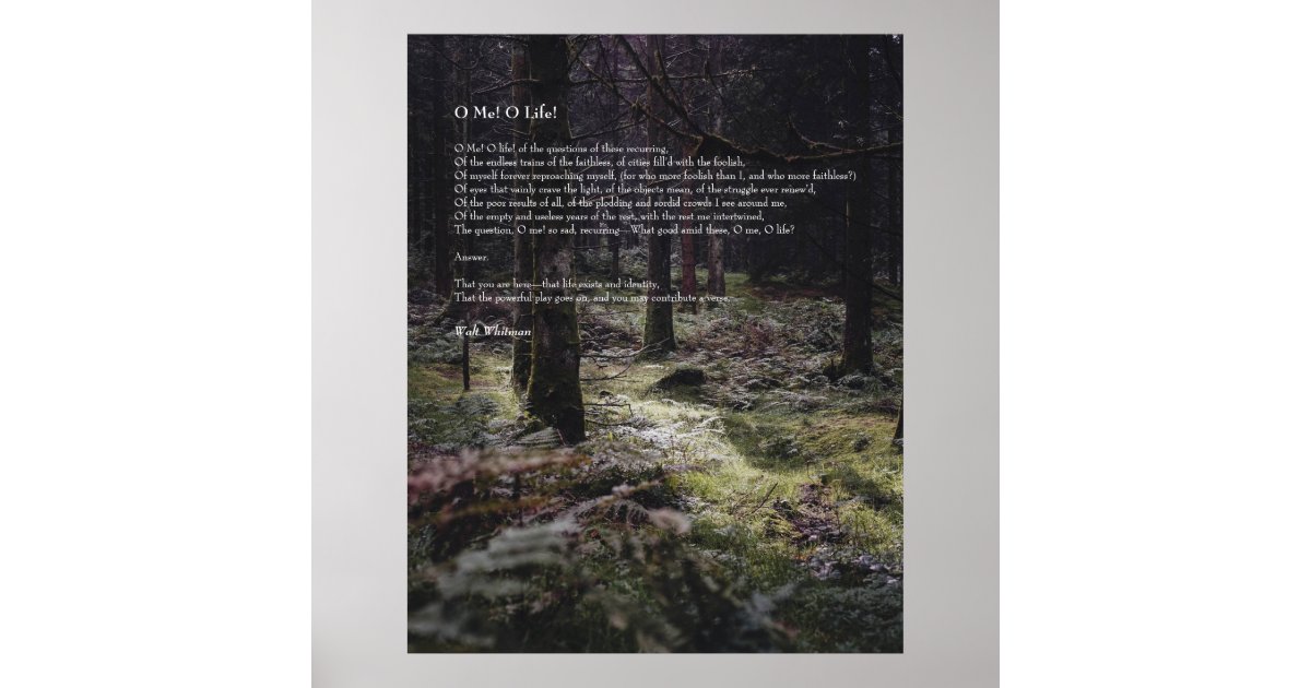Oh Me! Oh Life! Walt Whitman Poem Wooded Path 3 Poster | Zazzle