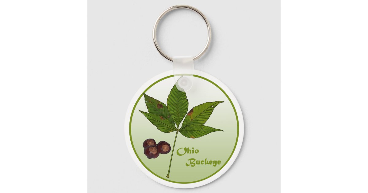 Ohio Buckeye Tree Keychain | Zazzle