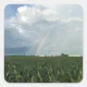 Ohio Rainbow Over Cornfield Square Sticker | Zazzle