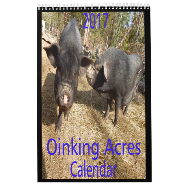 Oinking Acres Mini Pigs Calendar | Zazzle