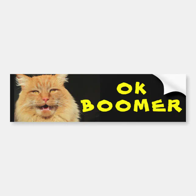 OK BOOMER Funny Cat Meme Bumper Sticker | Zazzle