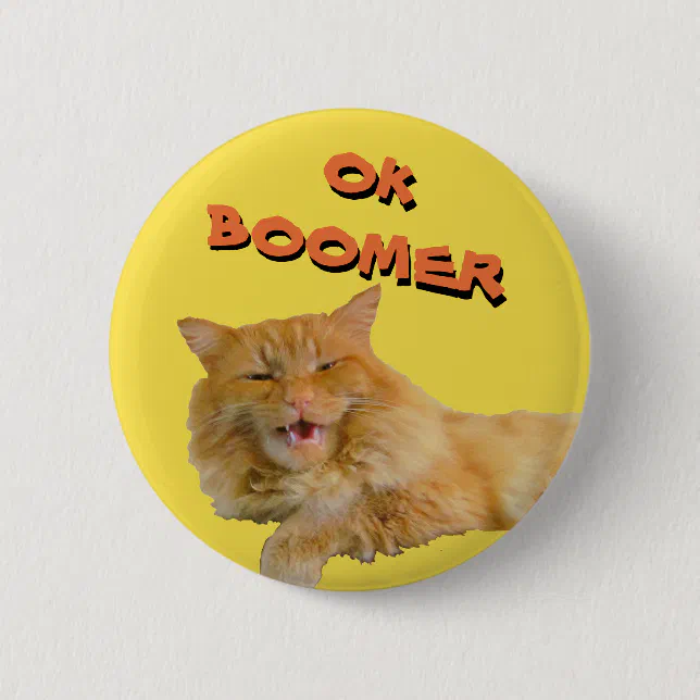 Ok Boomer Talking Cat Meme Button | Zazzle