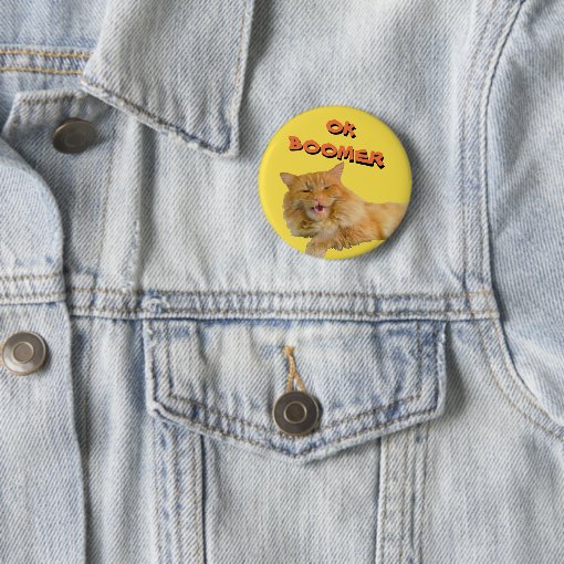 Ok Boomer Talking Cat Meme Button | Zazzle