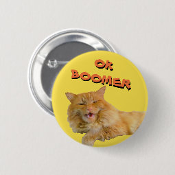 Ok Boomer Talking Cat Meme Button | Zazzle