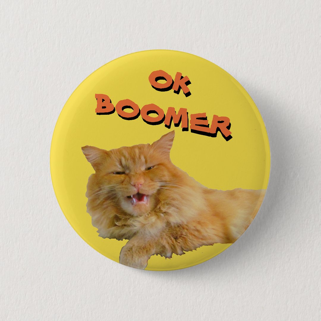 Ok Boomer Talking Cat Meme Button | Zazzle