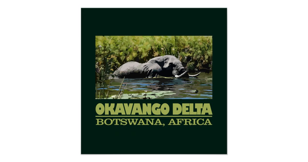 Okavango Delta Poster | Zazzle