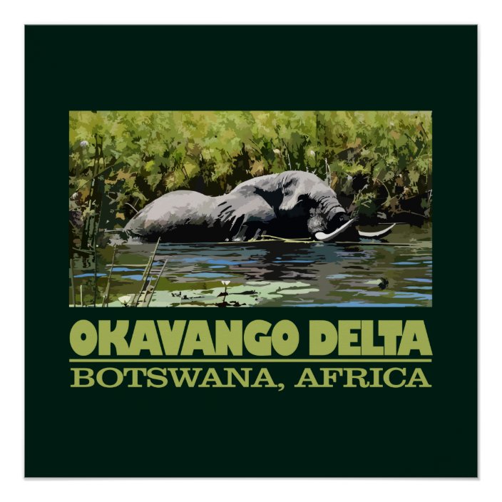 Okavango Delta Poster | Zazzle.com