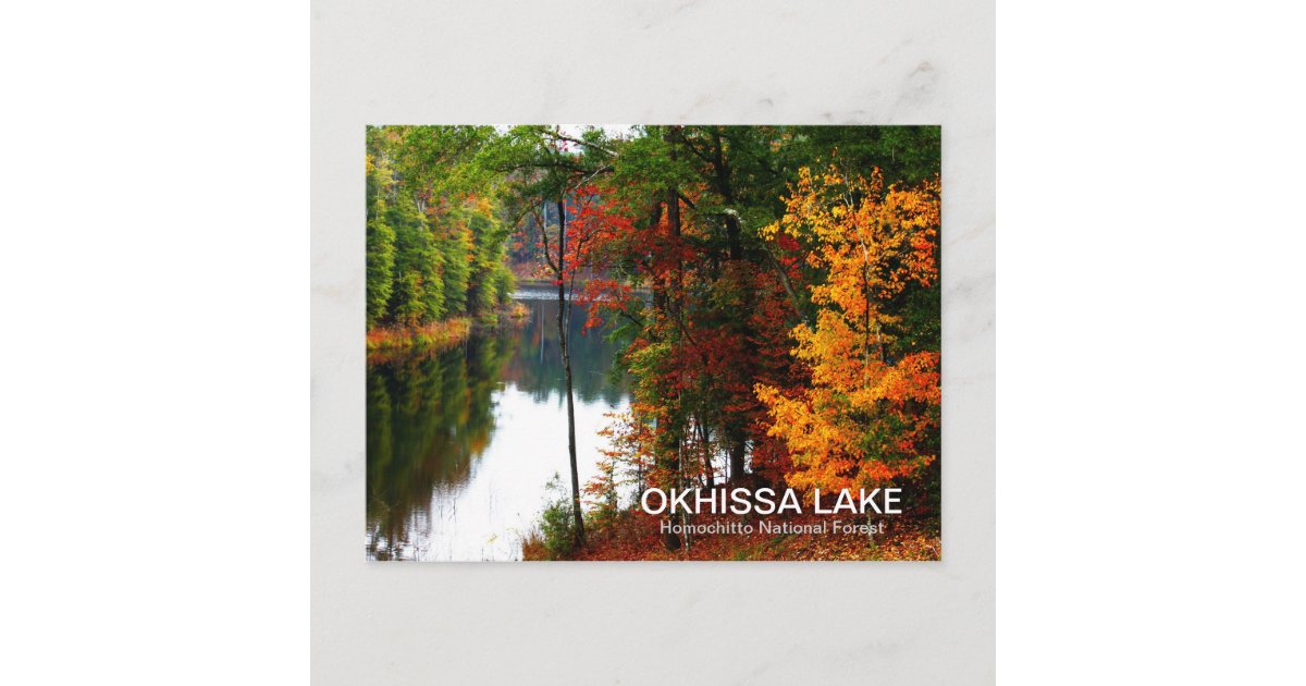 Okhissa Lake - Homochitto National Forest Postcard | Zazzle