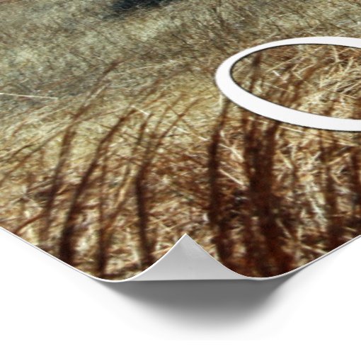 Oklahoma Prairie Print | Zazzle